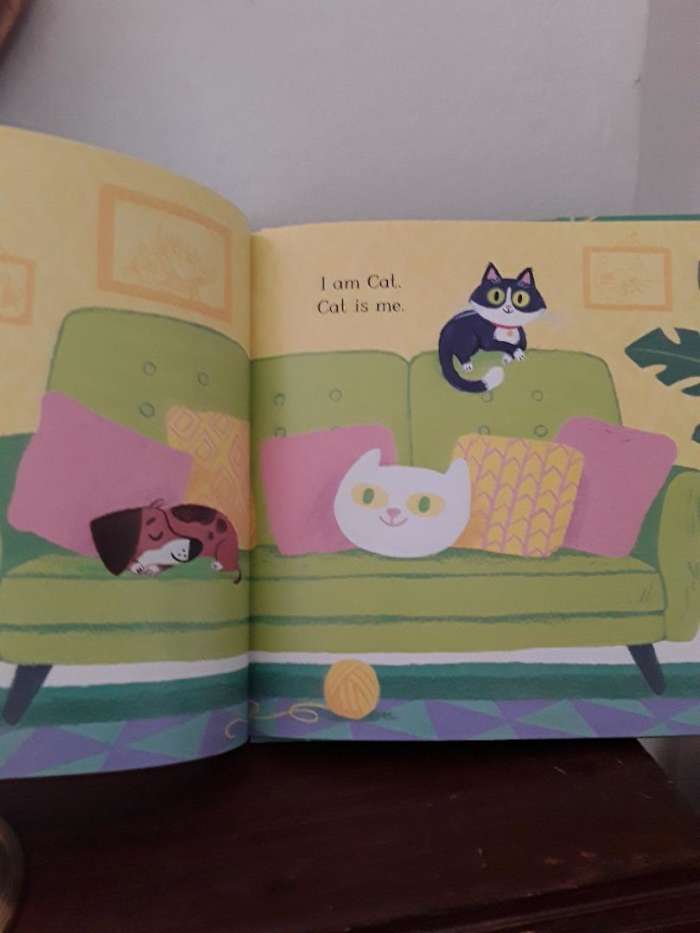 Cat Personalities and Activities Featured in Adorable Picture Book and ...