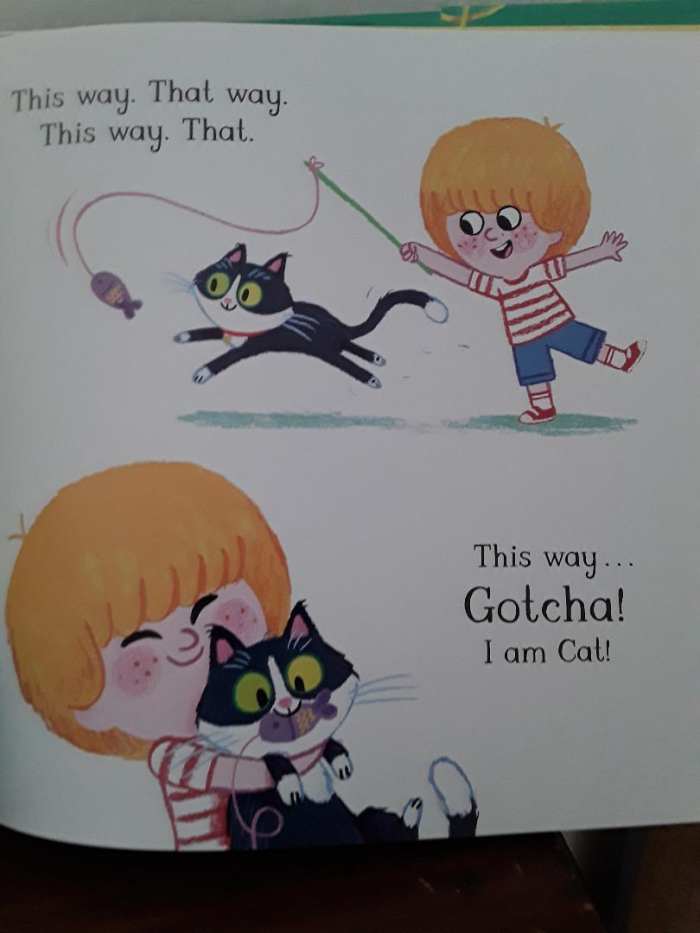Cat Personalities and Activities Featured in Adorable Picture Book and ...