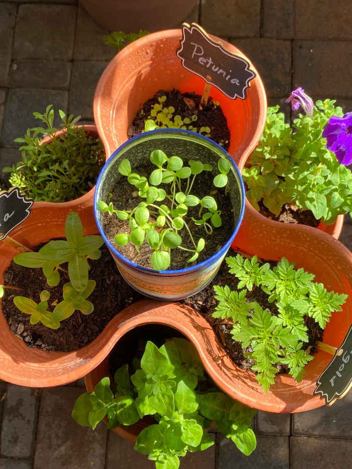 Stacked Compost System Perfect For a Patio - HubPages