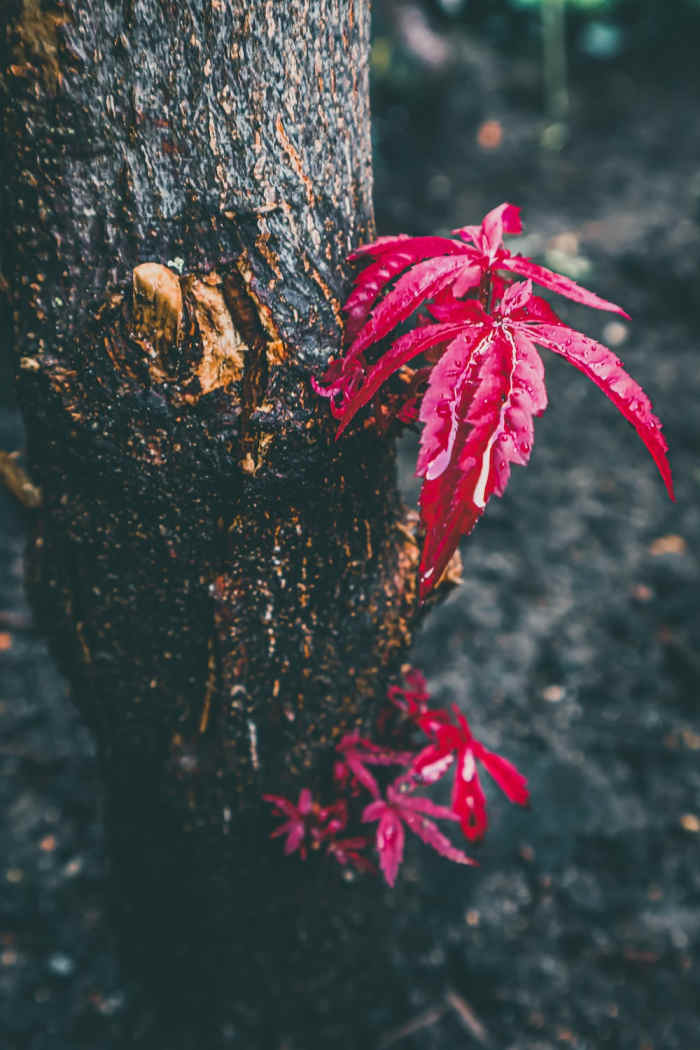 My Silent Tears - HubPages