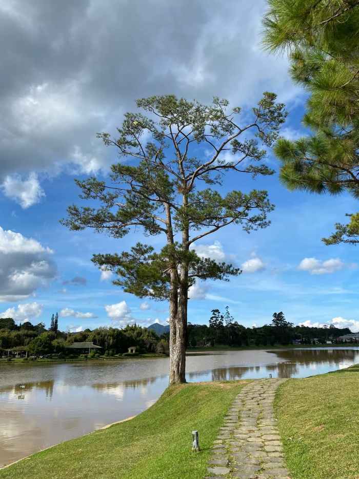 Da Lat: The Ultimate Destination for Heartbreak Recovery - HubPages