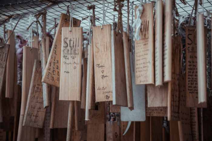 Da Lat: The Ultimate Destination for Heartbreak Recovery - HubPages