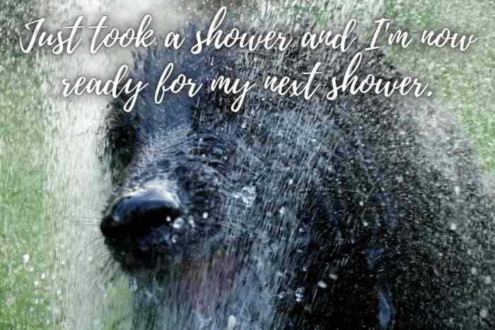 150+ Hot Weather Quotes and Caption Ideas for Instagram - HubPages