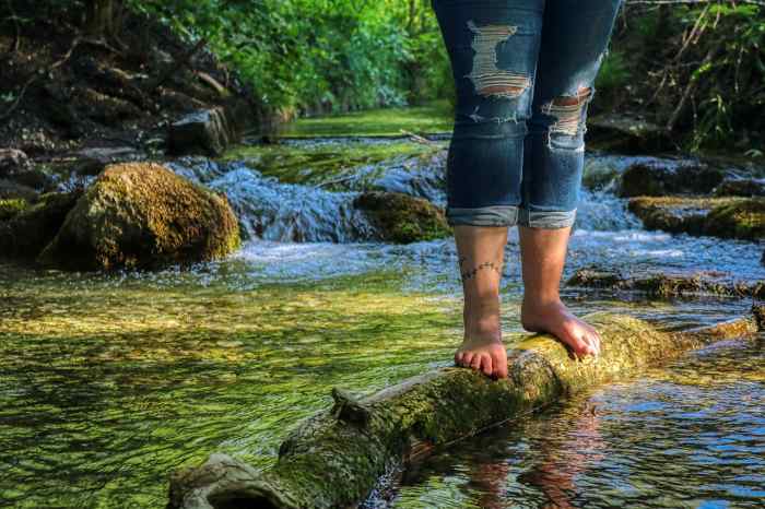 Unraveling the Caloric Conundrum: How Your Gut Microbes Influence ...