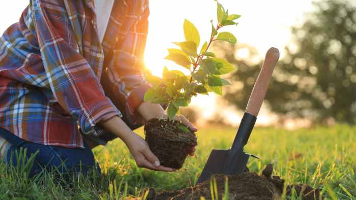 Ideas for Memorials and Tributes to Our Lost Loved Ones - WeHaveKids