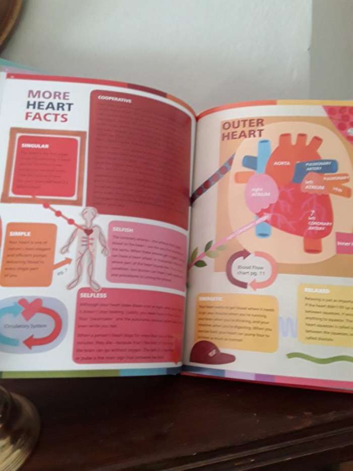 Learning About the Heart in Creatively Written Picture Book for Stem ...