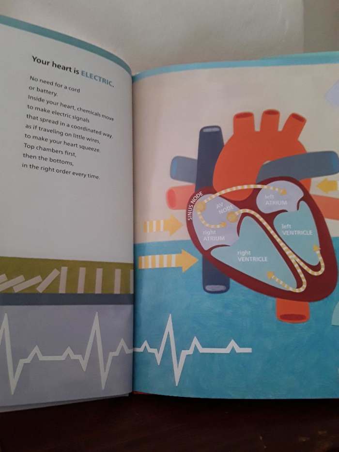 Learning About the Heart in Creatively Written Picture Book for Stem ...