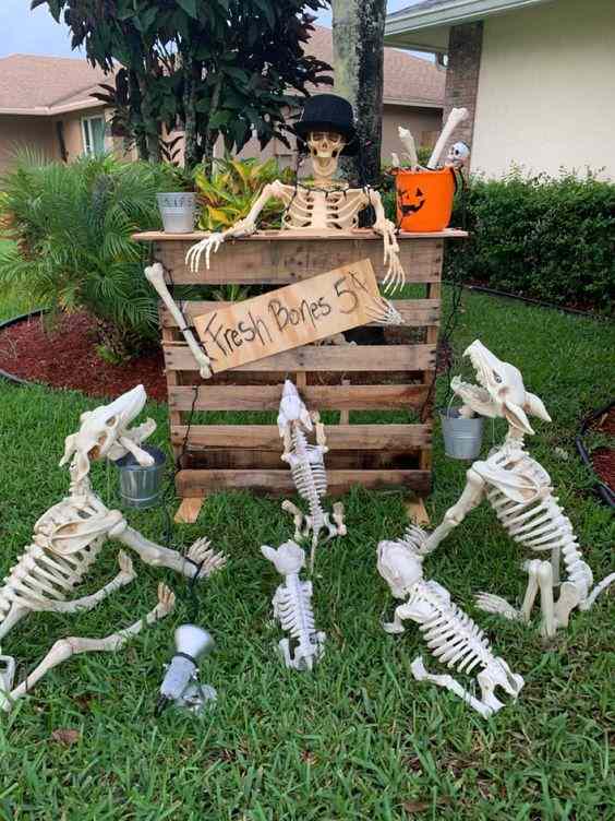 40+ Spooktastic Skeleton Halloween Decoration Ideas for Front Yard ...