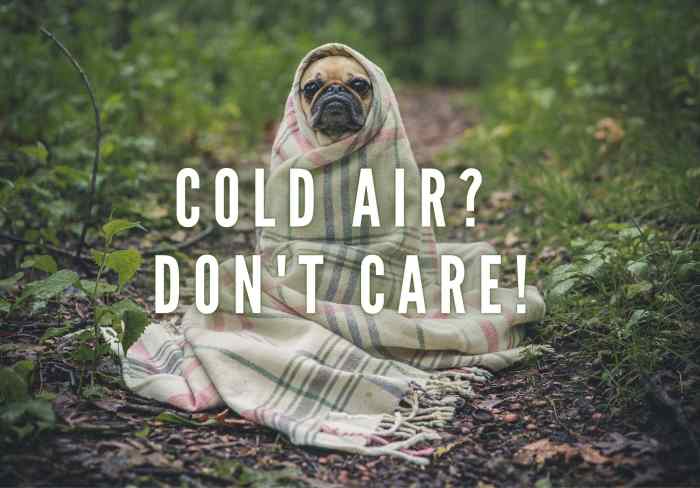 150+ Cold Weather Quotes and Caption Ideas for Instagram - HubPages