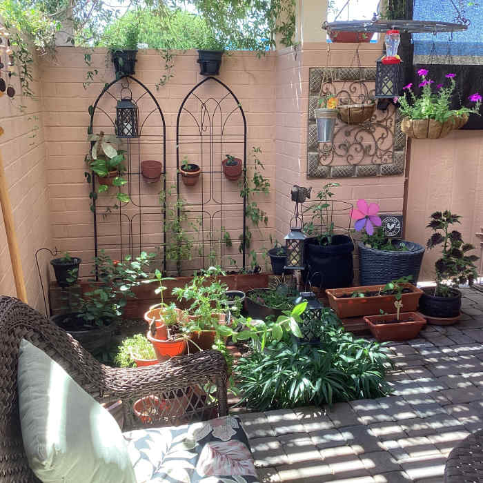 3 Trellis Ideas For a Small Patio - HubPages