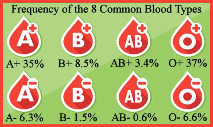 Blood Bank Test Ordering for Nurses - HubPages