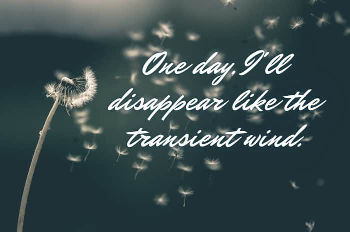 150+ Windy Weather Quotes and Caption Ideas for Instagram - HubPages