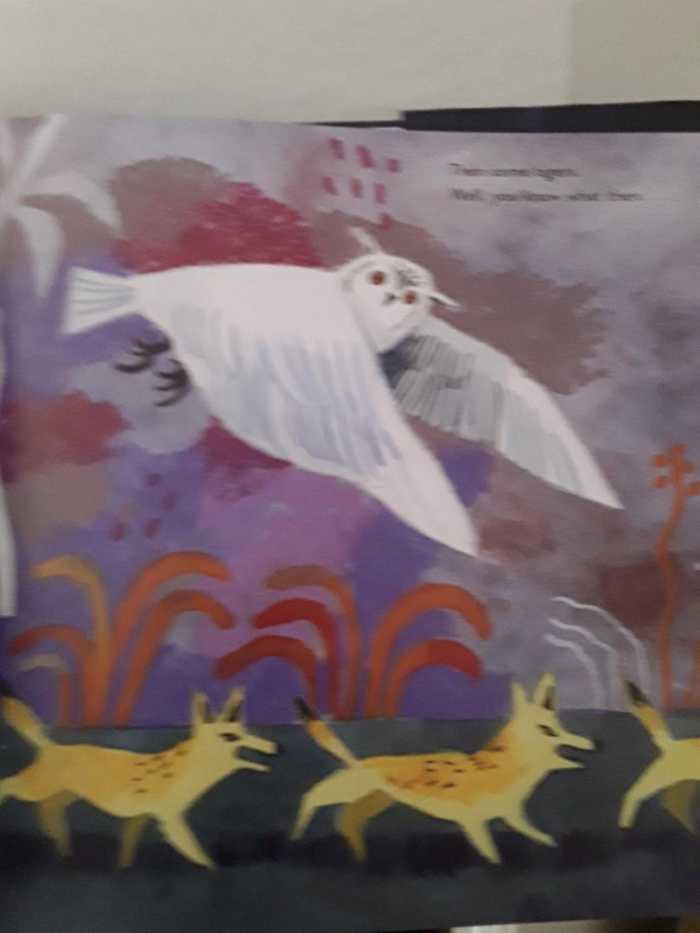 Animals of the Night in Gorgeously Illustrated Picture Book and Story ...