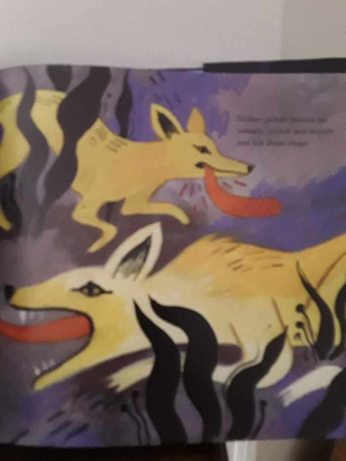 Animals of the Night in Gorgeously Illustrated Picture Book and Story ...