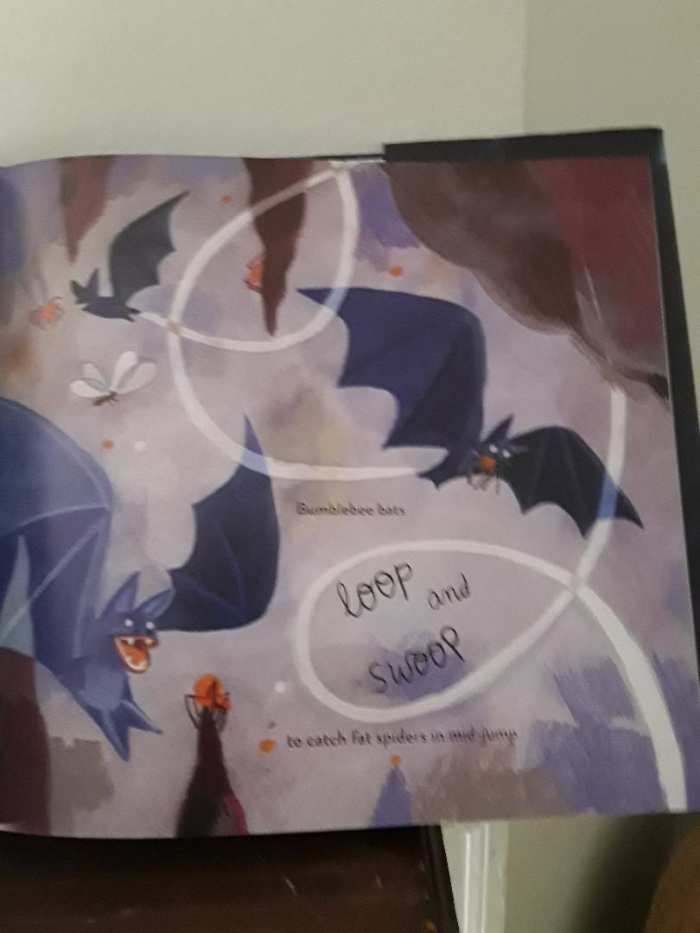 Animals of the Night in Gorgeously Illustrated Picture Book and Story ...