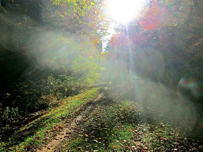 Native American Frog Bay Tribal National Park - Travel Wisconsin - HubPages