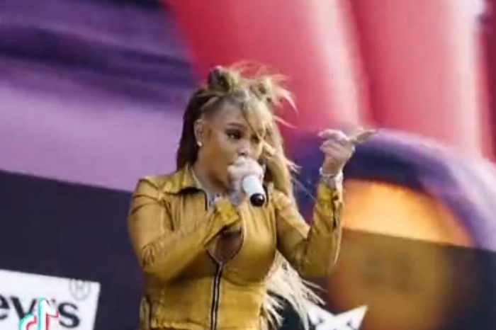 Boo! Tomatoes! Celebrities Being Assaulted at Performances (Gossip ...