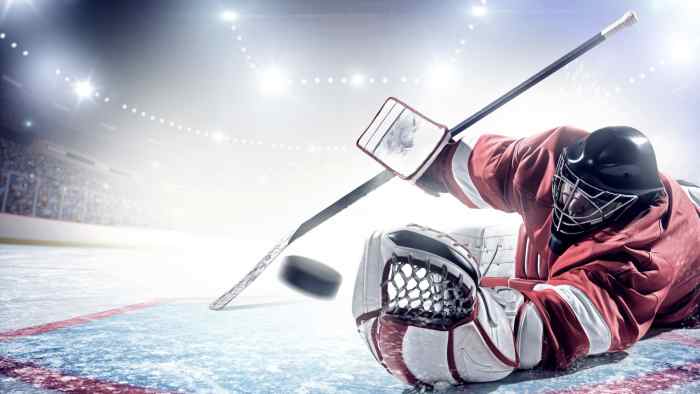 Basic Rules of NHL Hockey: A Visual Guide - HubPages