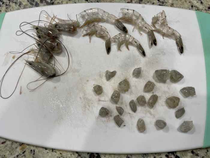 Salt-Curing and Storing Bait Shrimp - HubPages