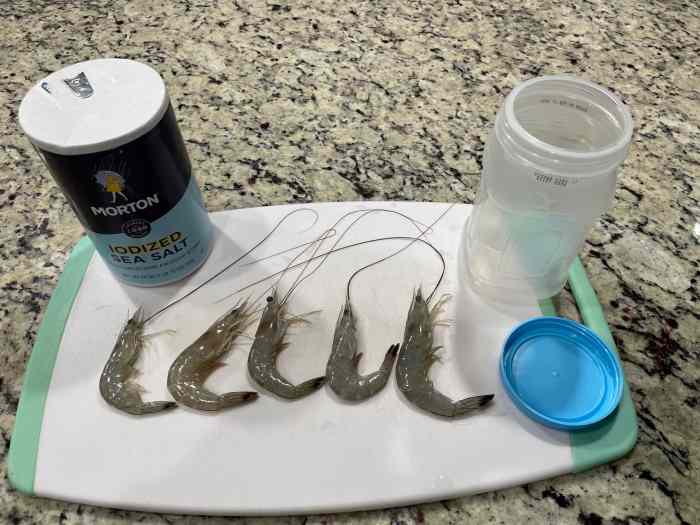 Salt-Curing and Storing Bait Shrimp - HubPages