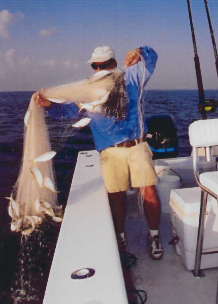 Chum Fishing for Tarpon - HubPages