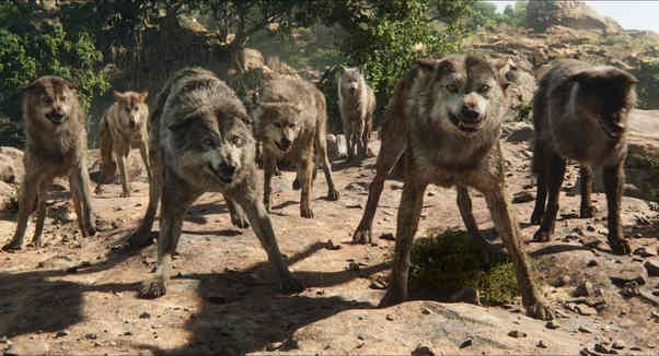 Surviving a Wolf Pack Attack - HubPages