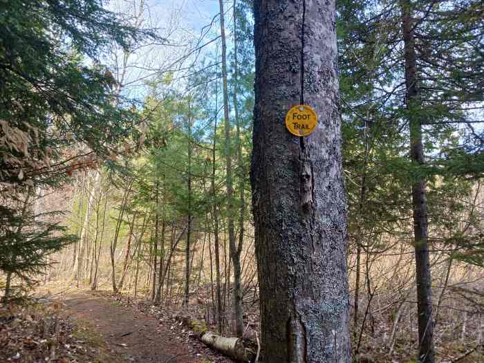 Adirondack Hike: Rooster Comb and Snow Mountains - HubPages