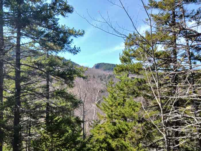 Adirondack Hike: Rooster Comb and Snow Mountains - HubPages