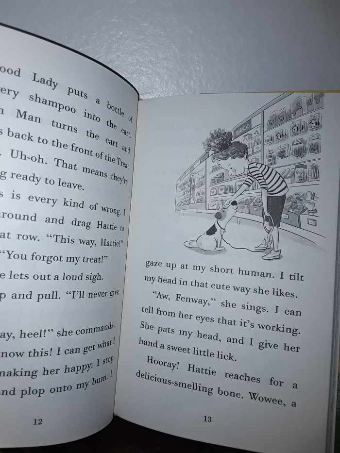 Adventures With Fenway the Dog in 2 Easy Readers Chapter Books for ...