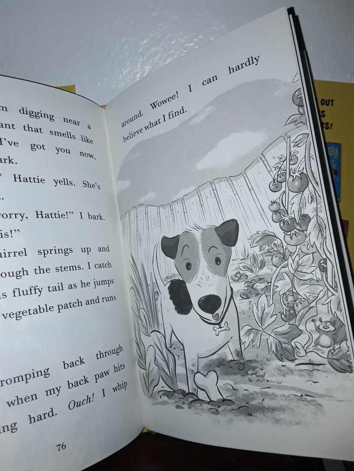 Adventures With Fenway the Dog in 2 Easy Readers Chapter Books for ...