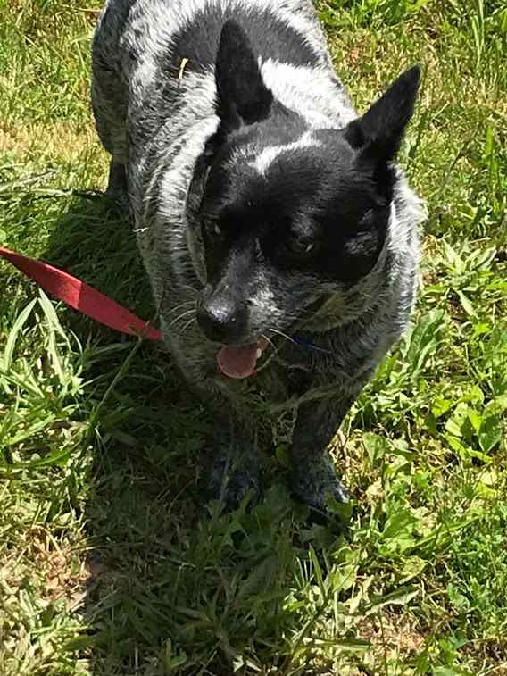 I Think I Saw a Rabbit - LetterPile