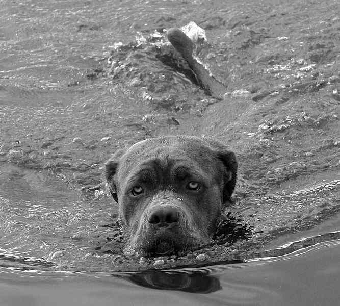 Running Ragged: A Runner's Road to Recovery - HubPages