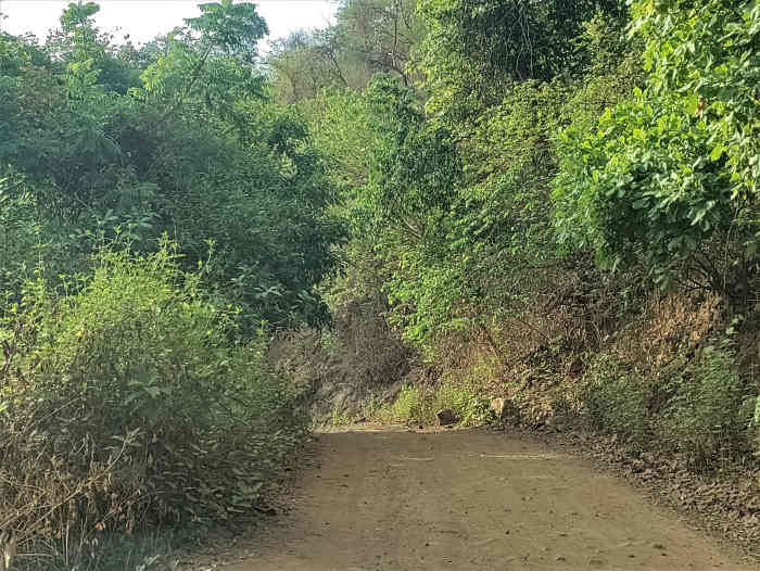 Tungareshwar, where Lord Parashurama killed Tunga the demon - HubPages