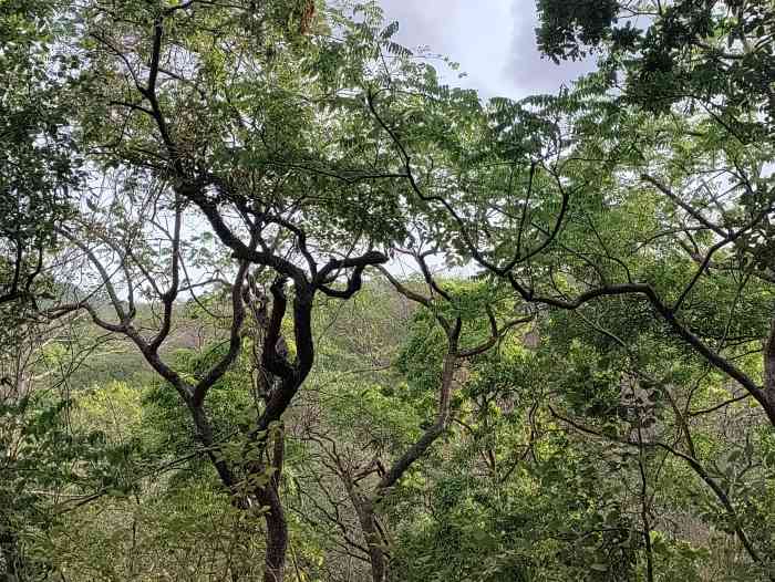 Tungareshwar, where Lord Parashurama killed Tunga the demon - HubPages