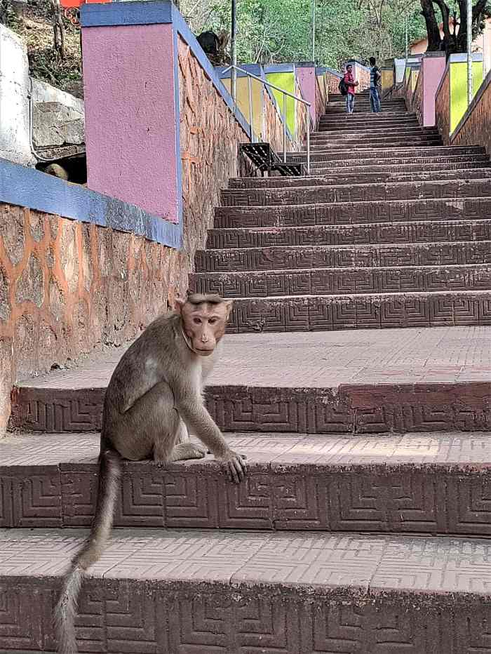Tungareshwar, where Lord Parashurama killed Tunga the demon - HubPages