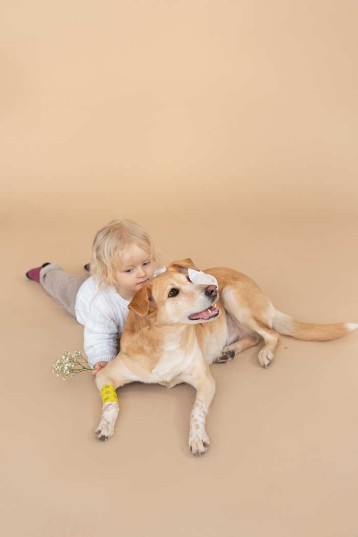 How to Train Your Dog to Be Kid Friendly - HubPages