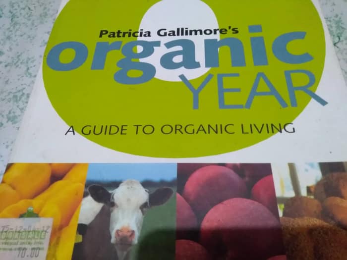 Nonfictional Prose Writing Types - HubPages