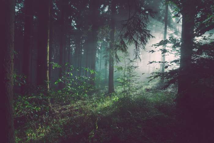 15+ Aesthetic Notion Cover Headers - HubPages