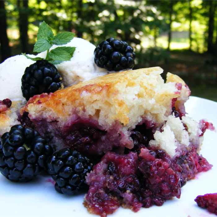 The Marionberry: Origin Story of This Pacific Northwest Gem - HubPages