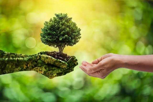 "Green" Everything that lives and grows is nature. - HubPages