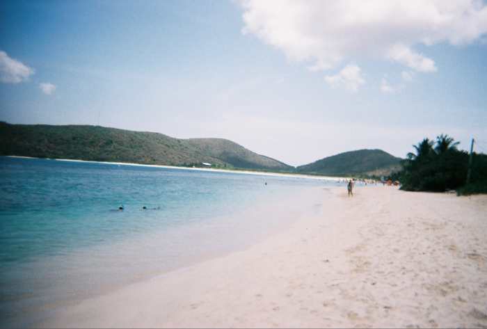 Snake Island - HubPages