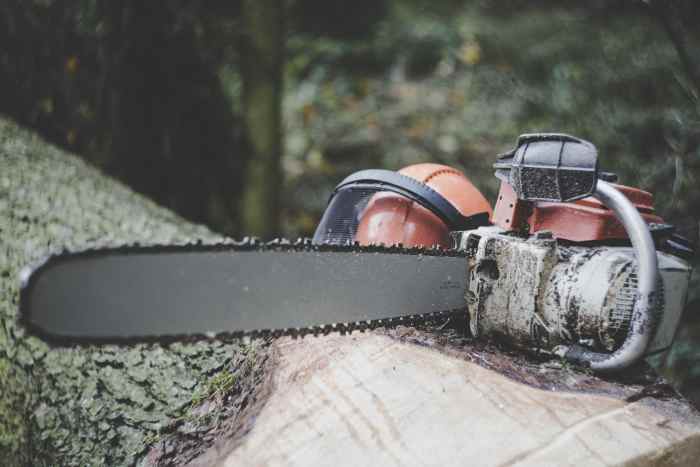 Why Were Chainsaws Invented? - HubPages