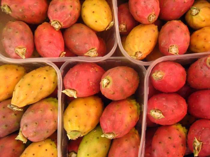 Sabras Cactus Fruit - HubPages