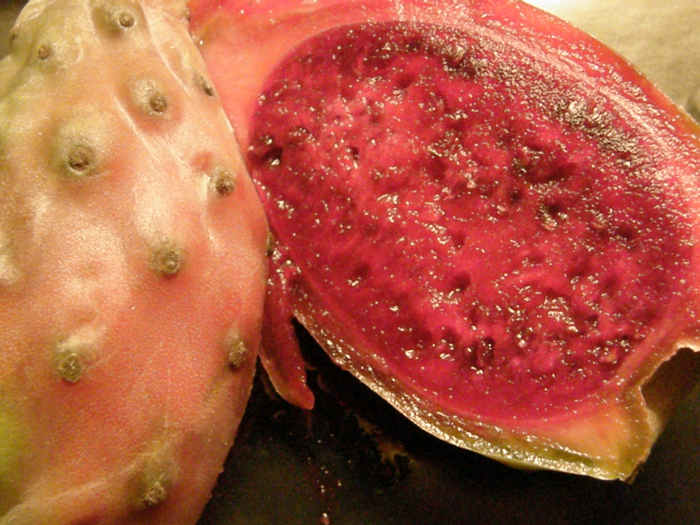 Sabras Cactus Fruit - HubPages