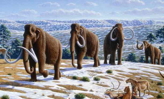 7 Prehistoric Animals That Lived Alongside Humans - Owlcation