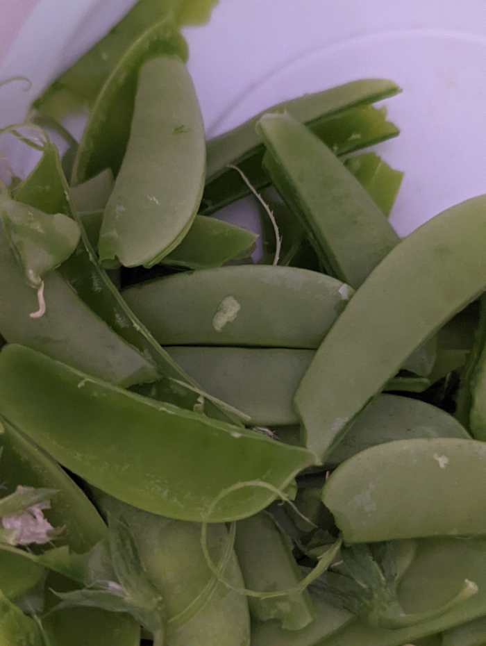 Pea Picking and Shucking - HubPages