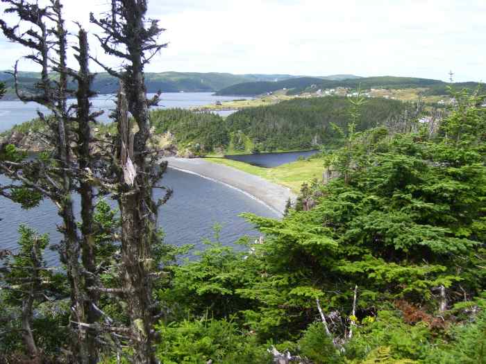 Hiking Trinity Bay's Beautiful Skerwink Trail - HubPages