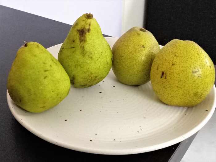 Nashpati (Asian Pear) vs. Babugosha (European Pear): How Do They Differ ...