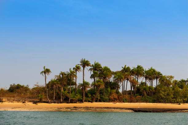 World Travel Guide to Guinea Bissau - HubPages