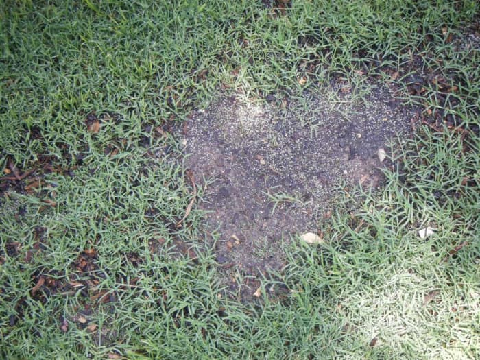 The Grass Isnt Always Greener Hubpages